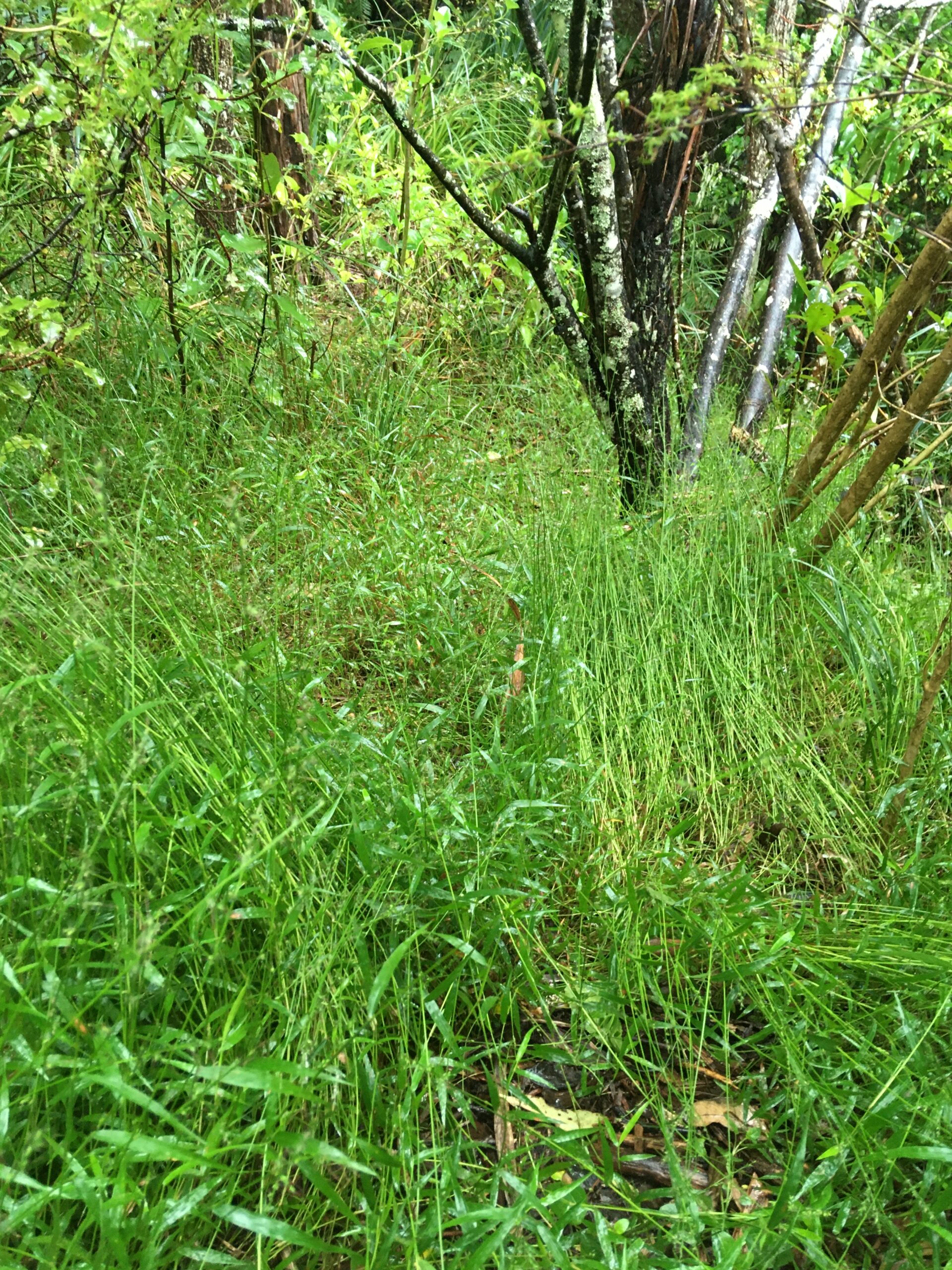 How we do it – North Shore Wilds