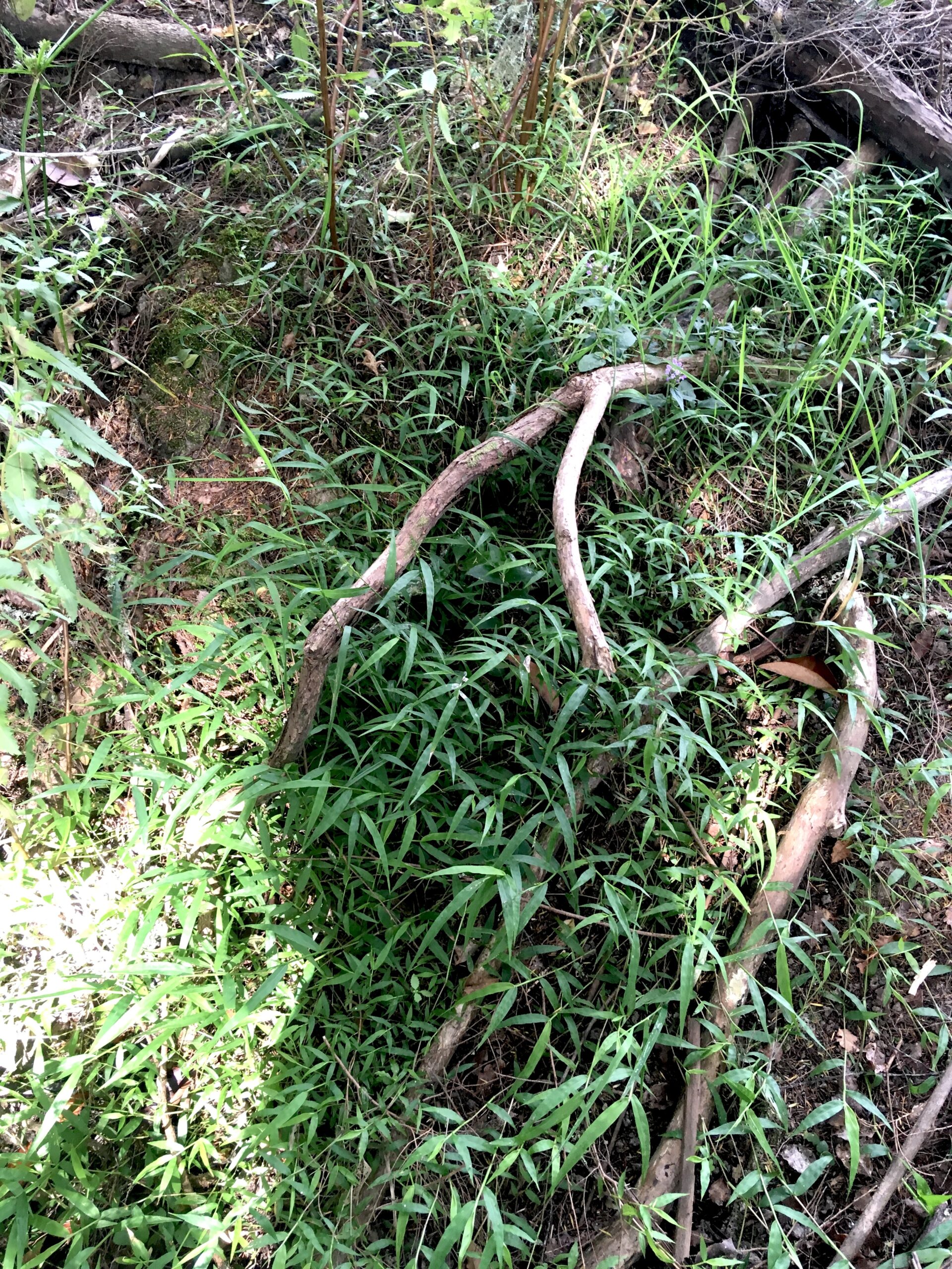 How we do it – North Shore Wilds